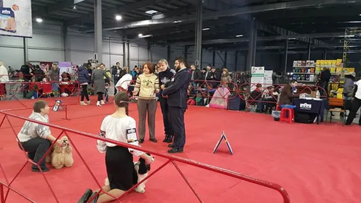 World Expert Judges – World Dog Federation