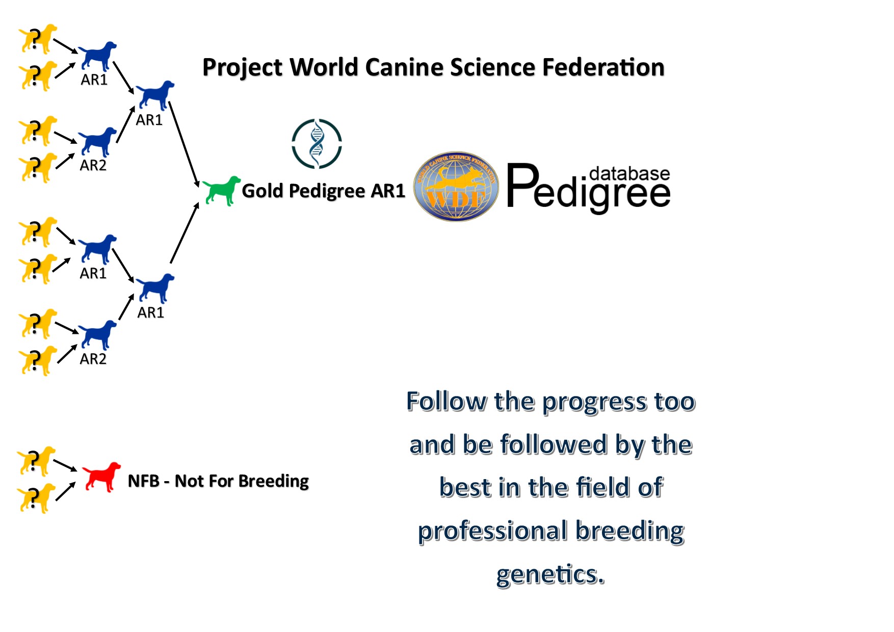 Genetics Project – World Dog Federation