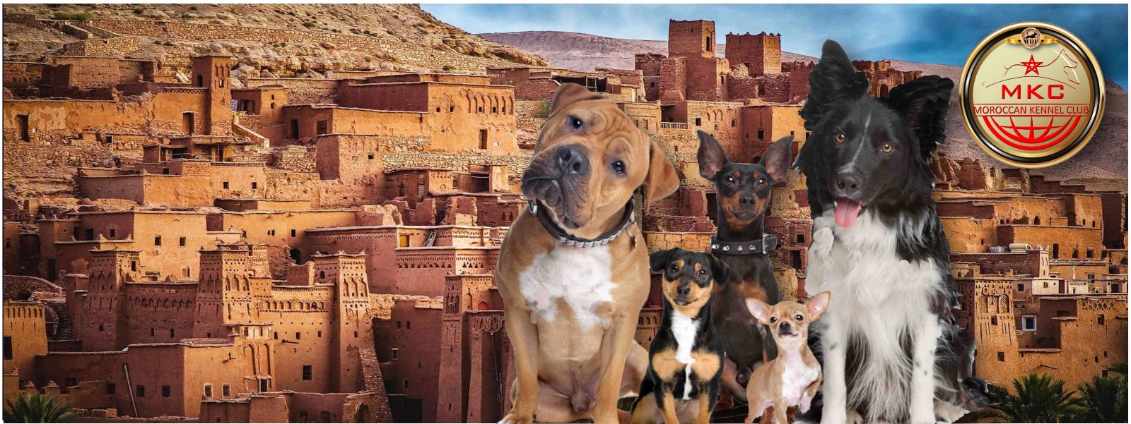 Constitution of the Moroccan Kennel Club representing the WDF - World ...